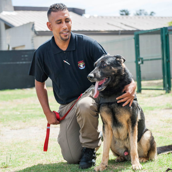 K9 Security Services (Dog Unit) | Red Security