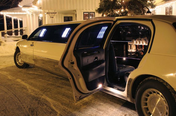 VIP Armed Protection (Body Guards) - Red Security